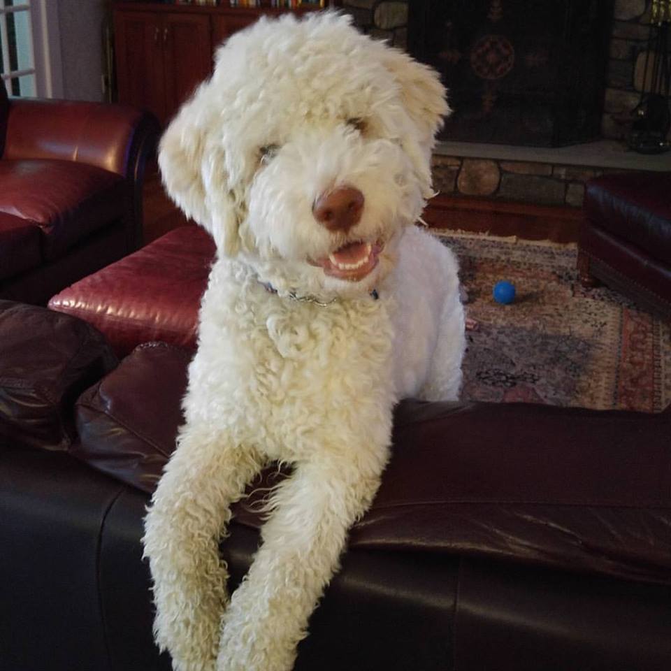 My New Role Model | notquiteold